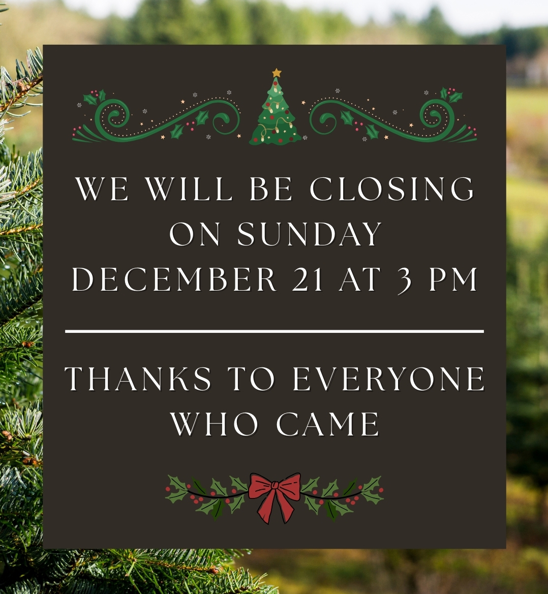 Crystal Springs Tree Farm | Christmas Trees | Lehighton, PA